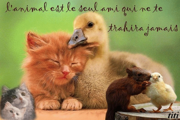 IRIS111**** - Page 1447